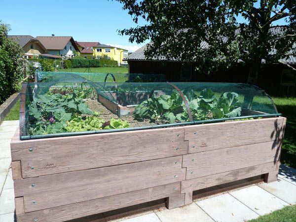 Unsere Hochbeet Fotogalerie | MAX Hochbeet