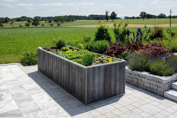 Unsere Hochbeet Fotogalerie | MAX Hochbeet